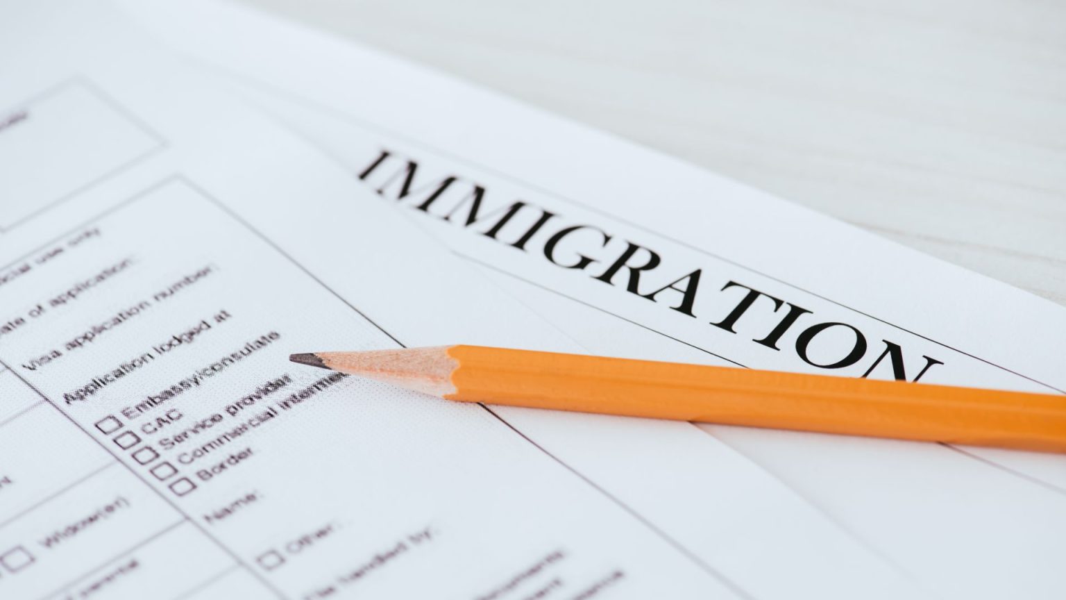 How to Appeal a Denied Immigration Petition: A Comprehensive Guide ...